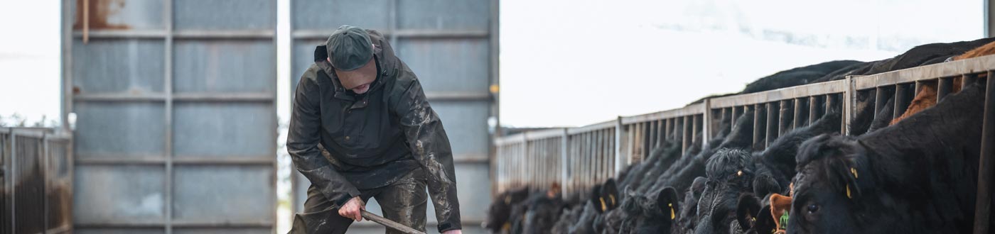 Farm Jackets for Men and Women, Tough Outdoor Wear